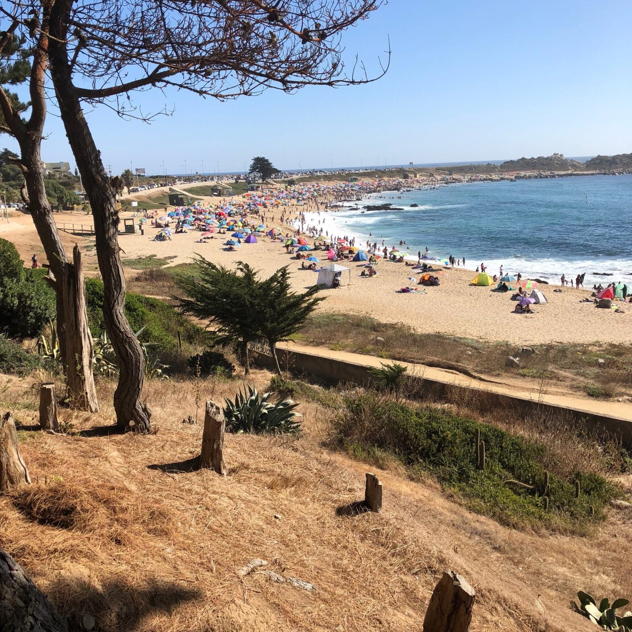 5 mejores cosas que hacer en El Quisco, Chile - 2025